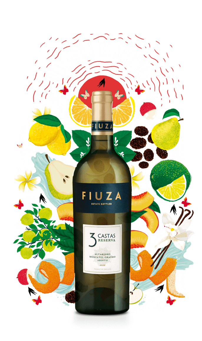 Fiuza 3 Castas - Fiuza - Conhece-se Pela Casta