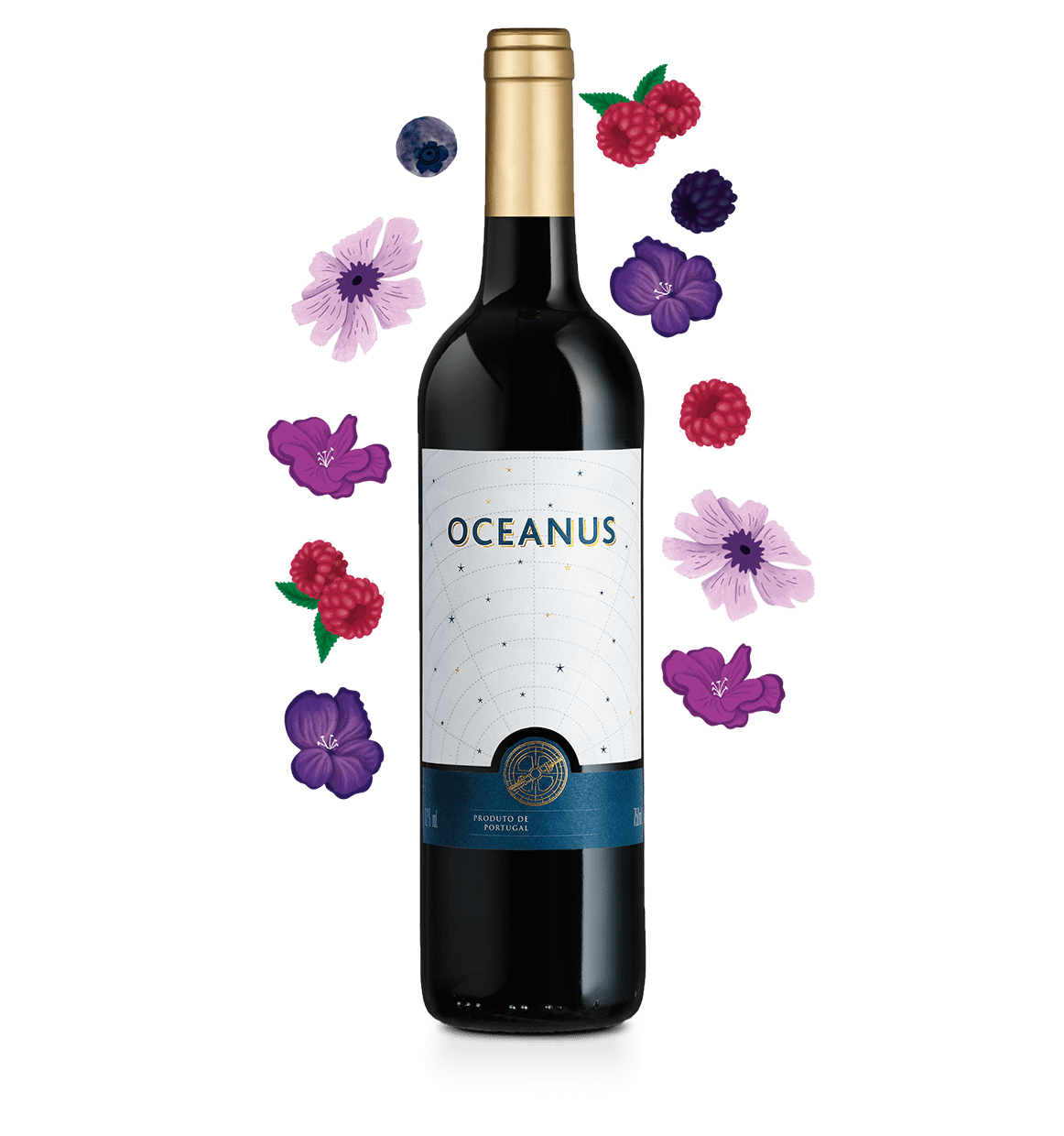 Oceanus Tinto - Fiuza - Conhece-se Pela Casta